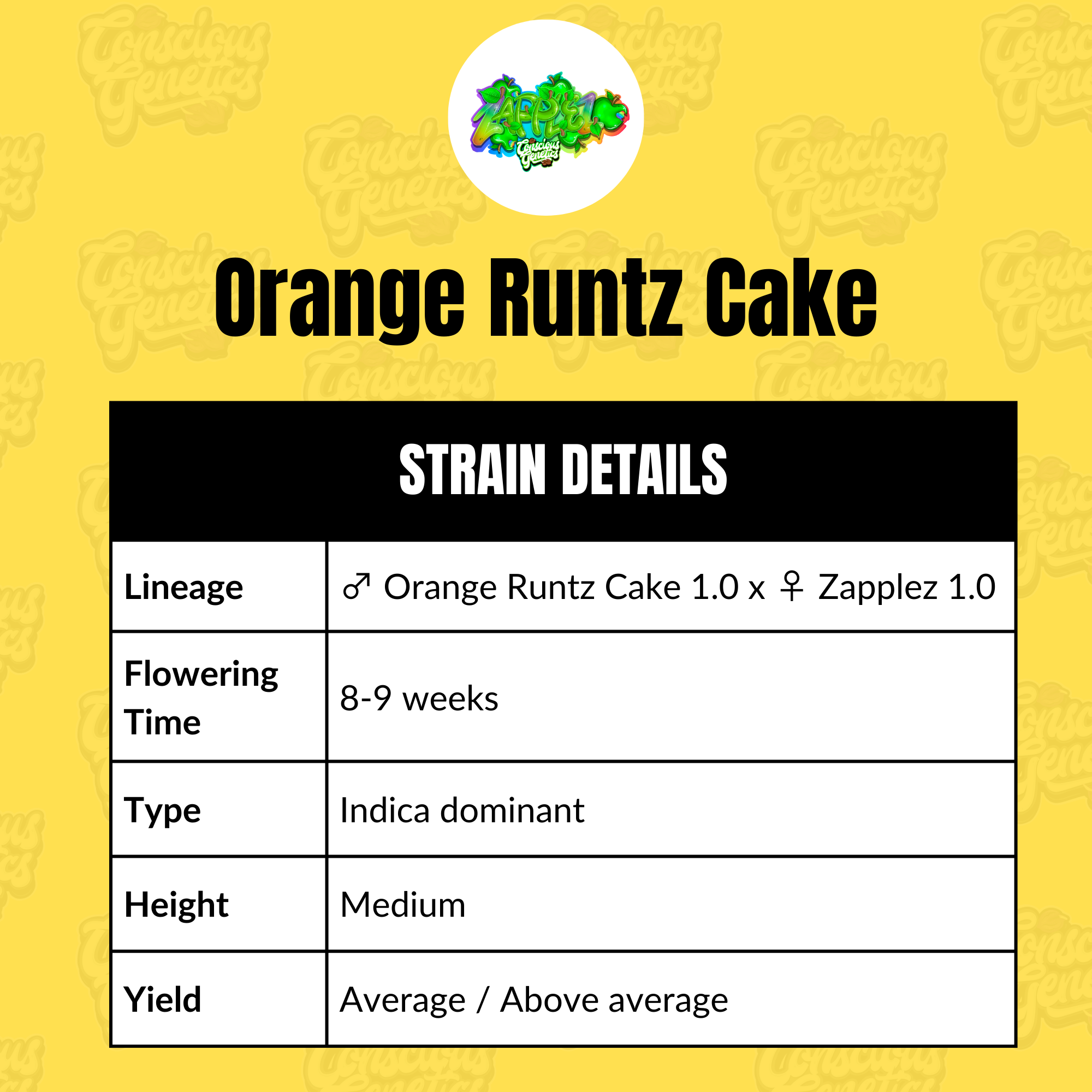 Orange Runtz Cake 2.0 | Solace Medusa Starter